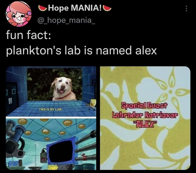 Ww Hope MANIA' @ hope mania_ fun fact: plankton's lab is named alex ...