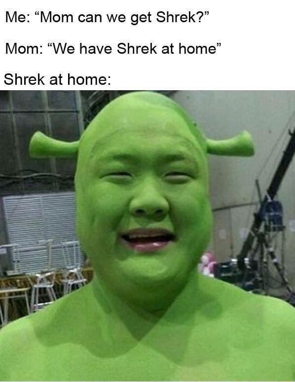 Me: “Mom can we get Shrek? Me: “Mom can we get Shrek?