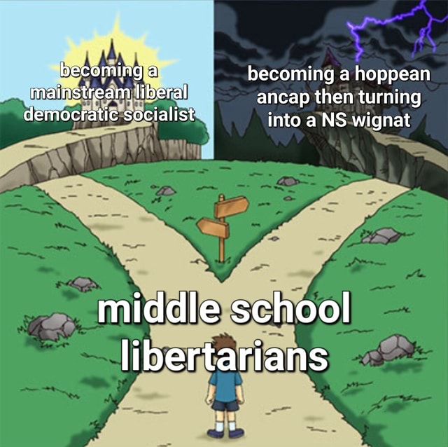 Becoming a becoming a hoppean mainstream liberal ancap then turning ...