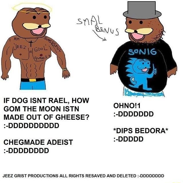 Sn IF DOG ISNT RAEL, HOW OHNOM *DIPS BEDORA* GOM THE MOON ISTN MADE OUT ...