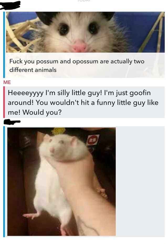 Fuck you possum and opossum are actually two different animals ME ...