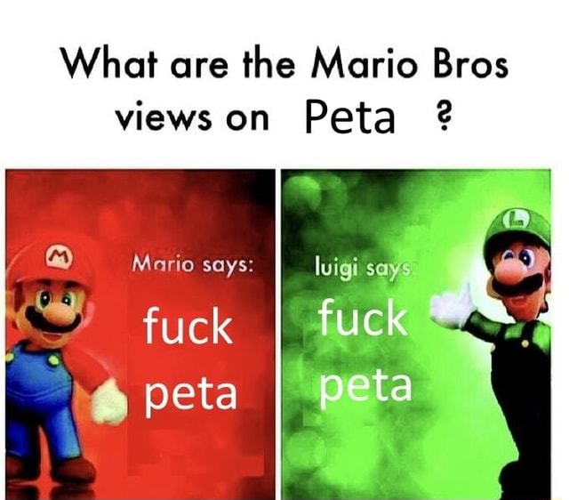 What are the Mario Bros views on Peta ? - iFunny