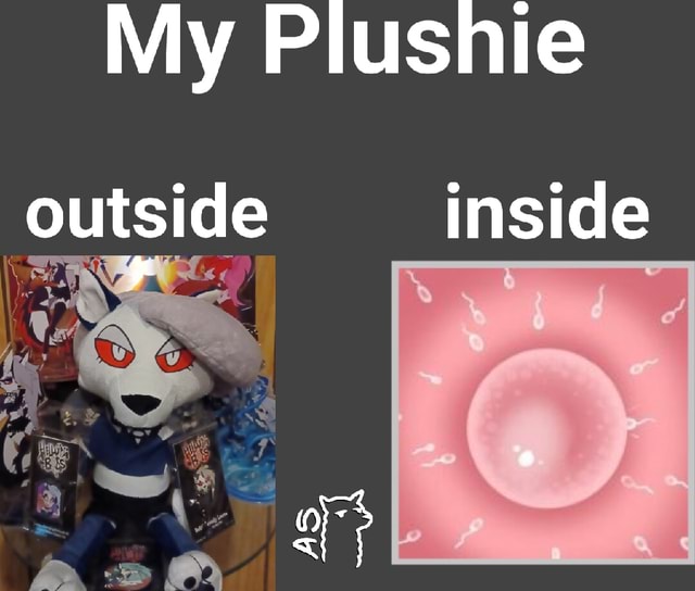 My Plushie outside inside - iFunny