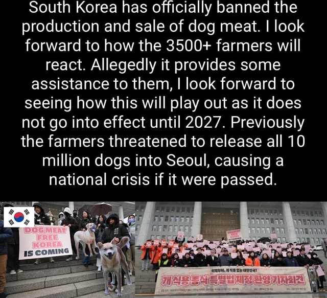 South Korea has officially banned the production and sale of dog meat ...