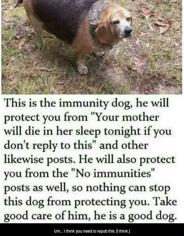 This is the immunity dog, he will protect you from "Your mother will ...