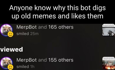 Anyone know why this bot digs up old memes and likes them MerpBot and ...