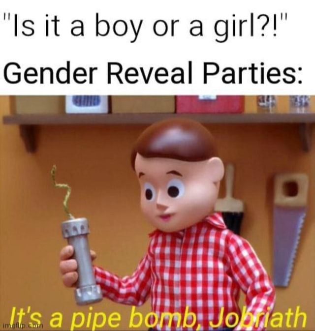 'Is it a boy or a girl?! Gender Reveal Parties It's a pipe Se - iFunny