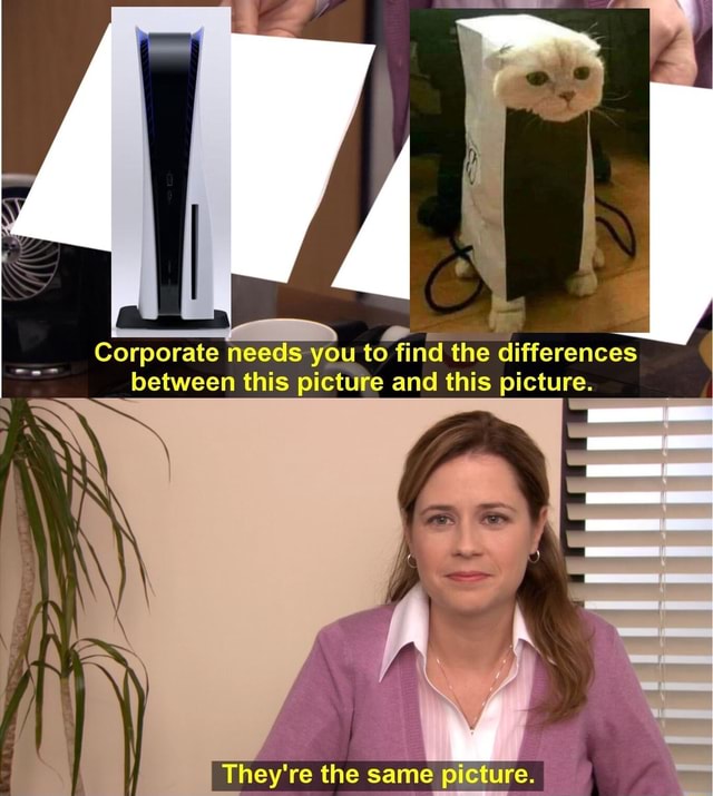 PS5 Cat Meme - Corporate needs you to find the differences between this ...