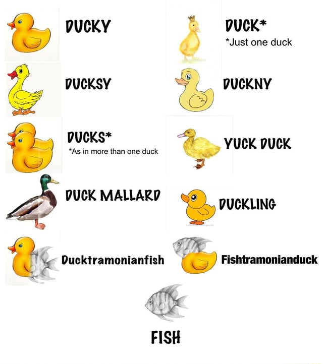 Which duck are you? - DUCKY DUCK* *Just one duck DUCKSY DUCKNY DUCKS ...