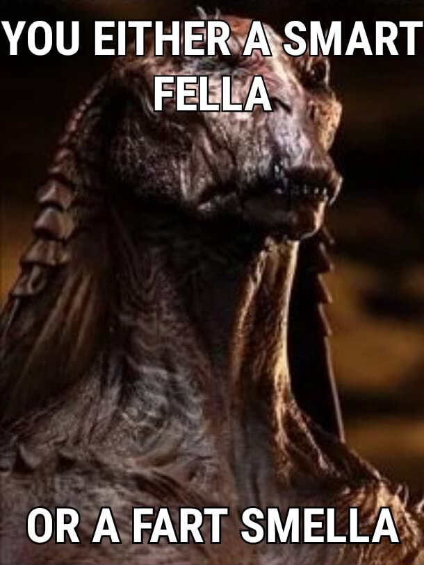 Fella Memes