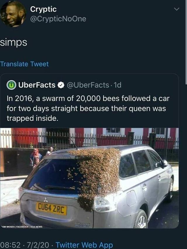 Cryptic @CrypticNoOne simps Translate Tweet UberFacts @UberFacts- In ...