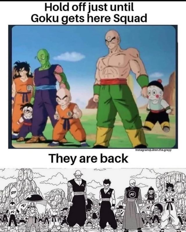 Hold off just until Goku gets here Squad They are back - iFunny