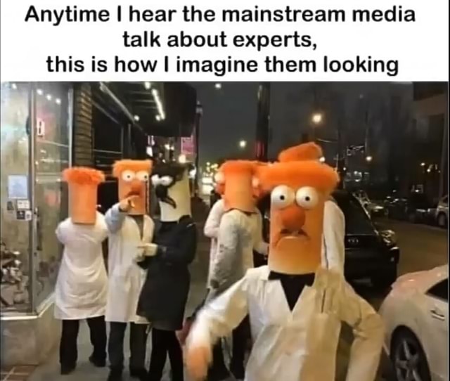 Anytime I hear the mainstream media talk about experts, this is how I ...