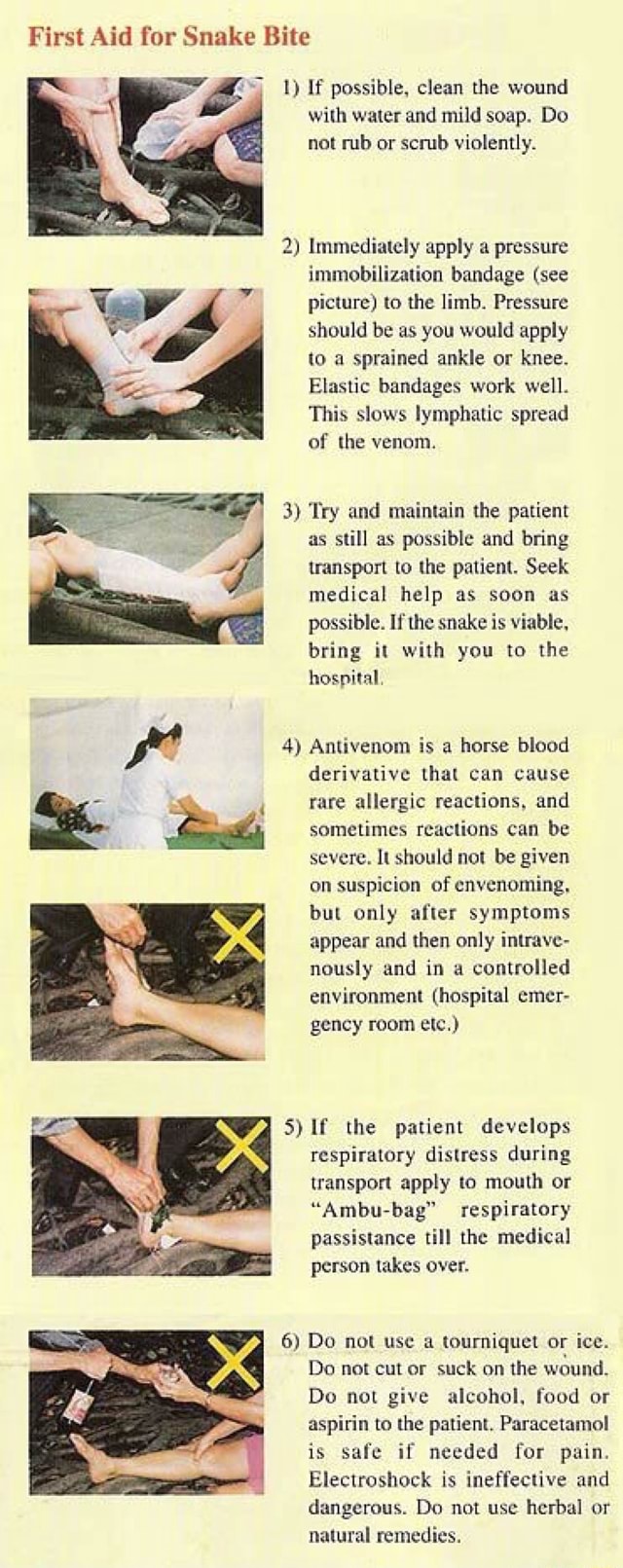 First Aid for Snake Bite 1) If possible, clean the wound with water and ...