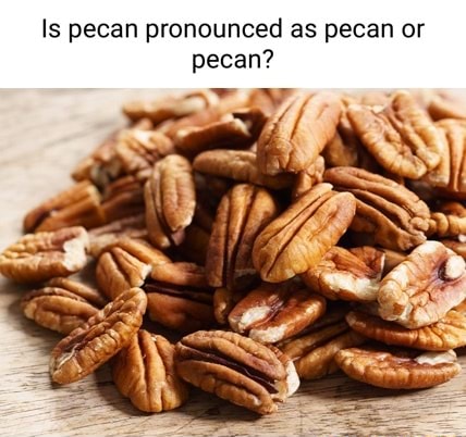 Is pecan pronounced as pecan or pecan? - iFunny