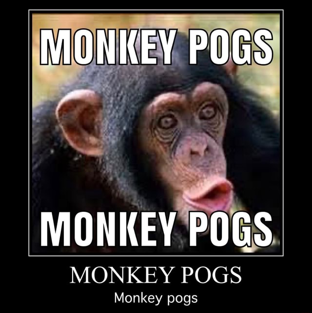 MONKEY POGS MONKEY POGS. MONKEY POGS Monkey pogs - iFunny