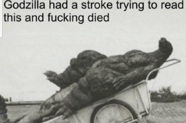 Godzilla had a stroke trying to read this and fucking died - iFunny