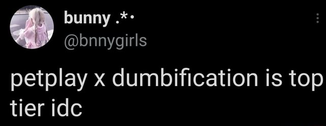 Bunny petplay x dumbification is top tier idc - iFunny