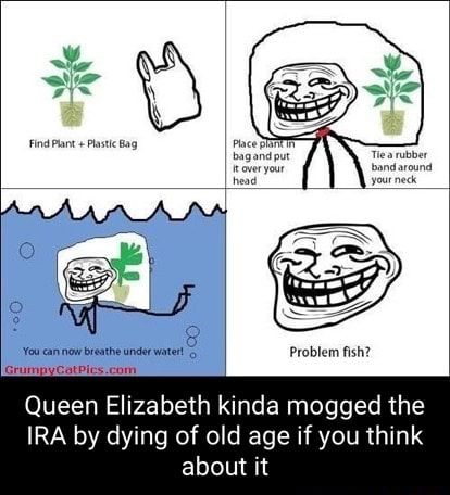 'You annow breathe under wate Problem fish? Queen Elizabeth kinda ...