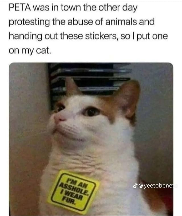 PETA was in town the other day protesting the abuse of animals and ...