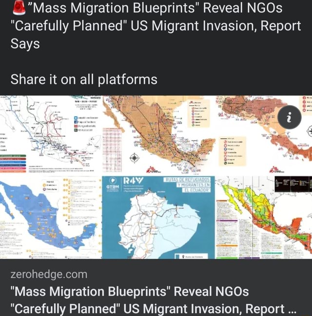 Mass Migration Blueprints" Reveal NGOs Carefully Planned" US Migrant ...