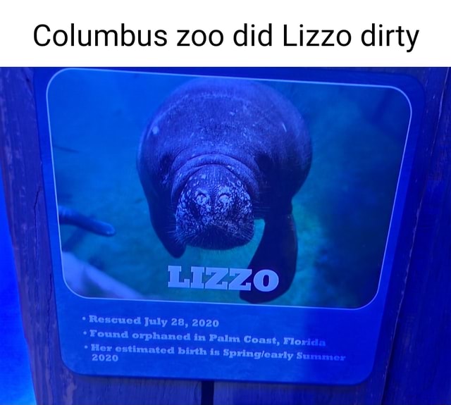 Columbus zoo did Lizzo dirty 28, 2020 Ga - iFunny