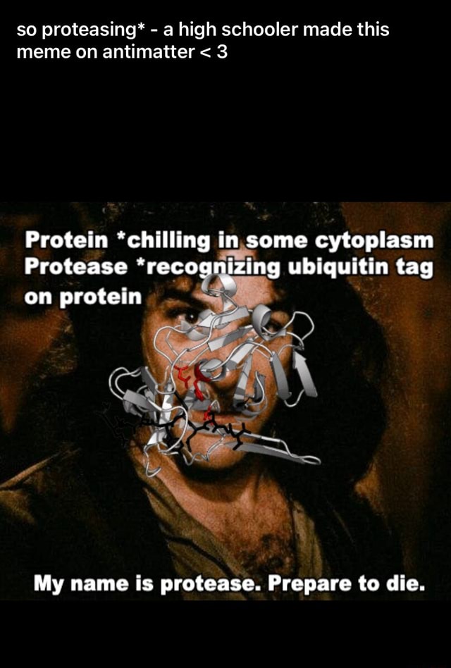 So proteasing* - a high schooler made this meme on antimatter