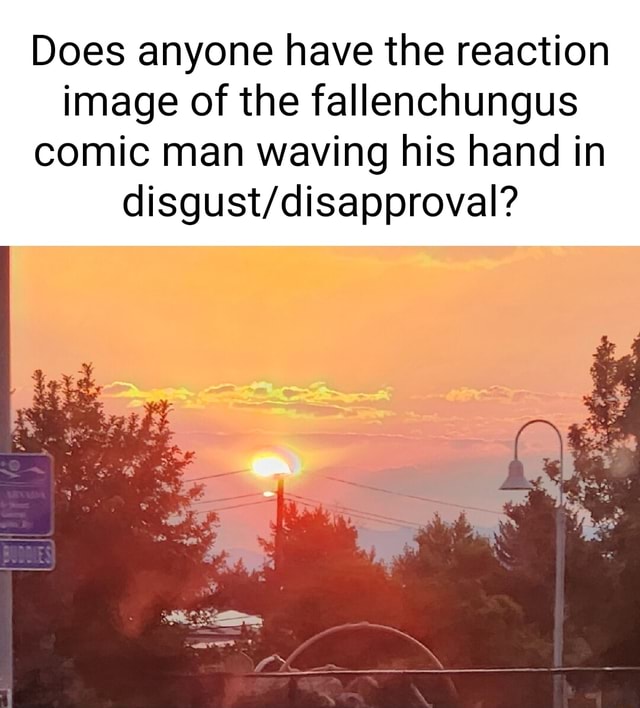 Does anyone have the reaction image of the fallenchungus comic man ...