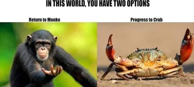 IN THIS WORLD, YOU HAVE TWO OPTIONS Return to Monke Progress to Crab ...