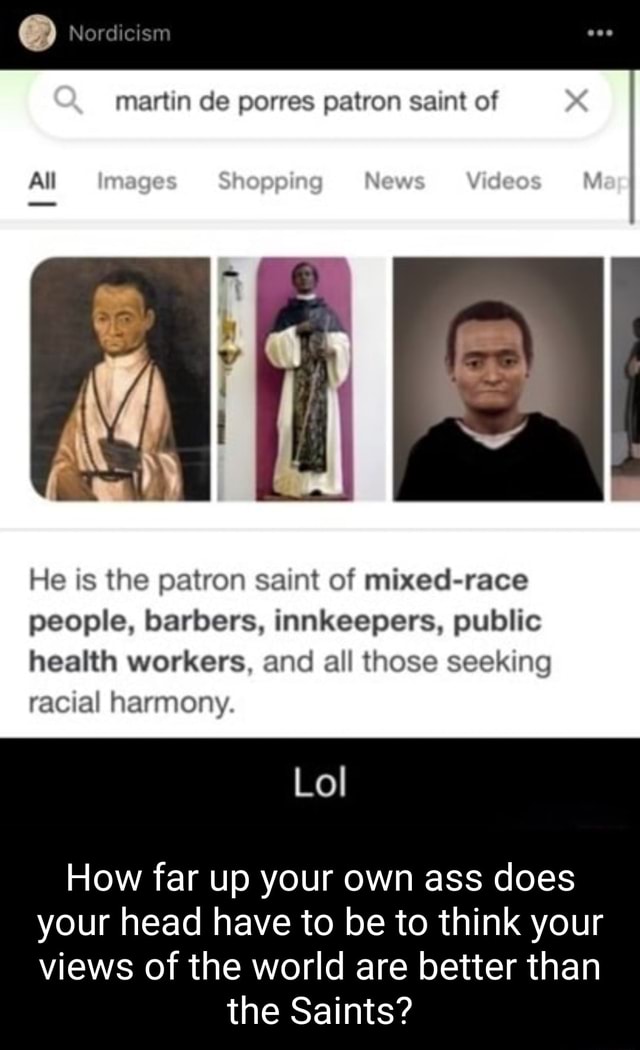 C) Nordieism martin de porres patron saint of He is the patron saint of ...