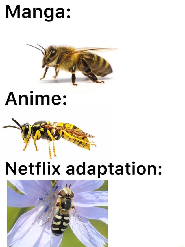 Manga: Anime: Netflix adaptation: - iFunny