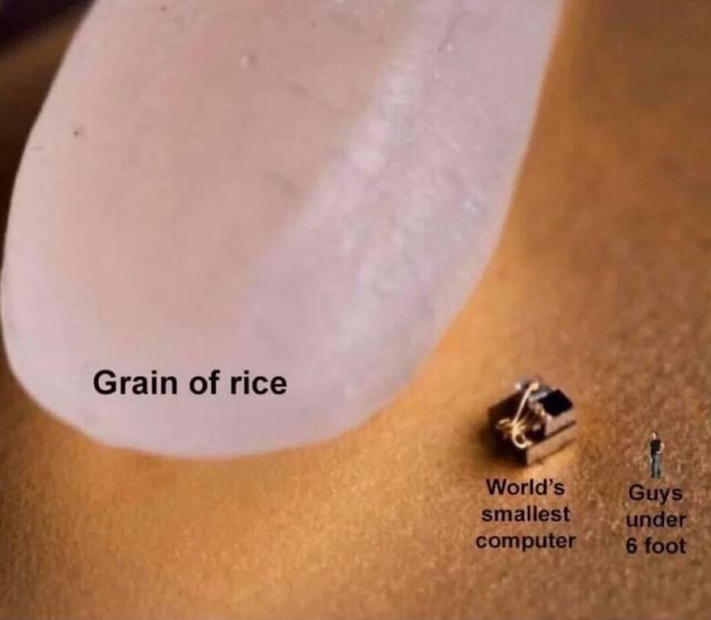 Grain of rice World's Guys smallest computer eat - iFunny