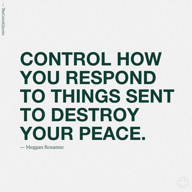CONTROL HOW YOU RESPOND TO THINGS SENT TO DESTROY YOUR PEACE. - iFunny