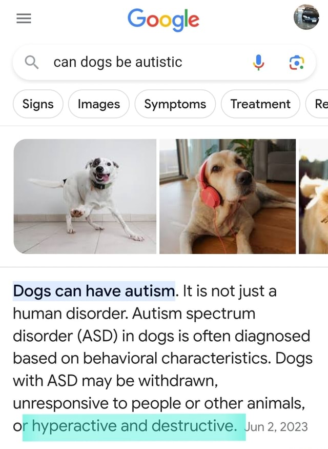 = Google Q. can dogs be autistic Signs Images Symptoms Treatment Re Hi ...