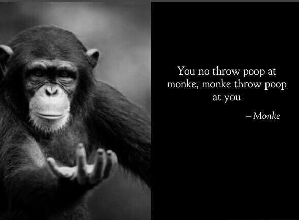You no throw poop at monke, monke throw poop at you Monke - iFunny