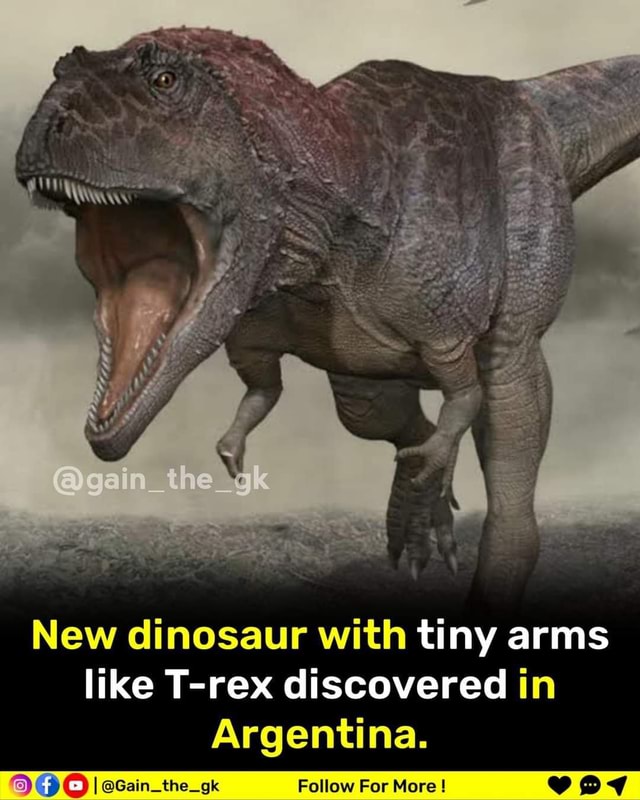 New Dinosaur With Tiny Arms Like T Rex Discovered In Argentina I Gain