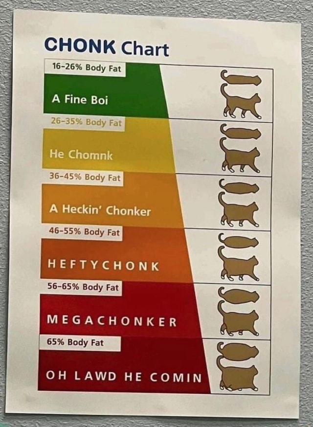 CHONK Chart 16-26% Body Fat Fine He Chomnk 36-45% Body Fat I A Heckin ...