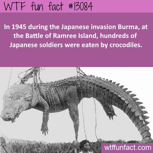 Fun In 1945 during the Japanese invasion Burma, at the Battle of Ramree ...