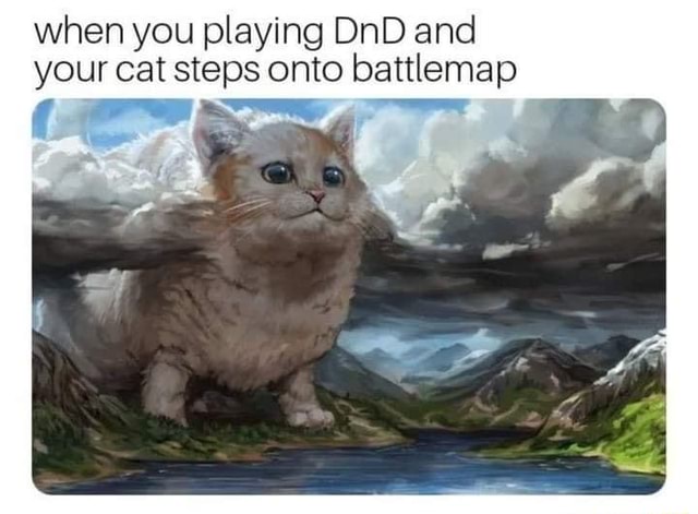 When you playing DnD and your cat steps onto battlemap - iFunny