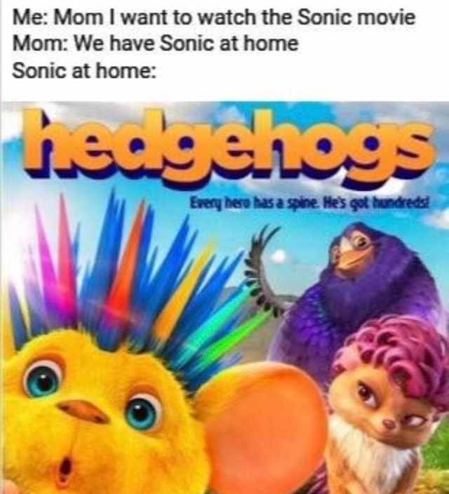 Me: Mom I want to watch the Sonic movie Mom: We have Sonic at home ...