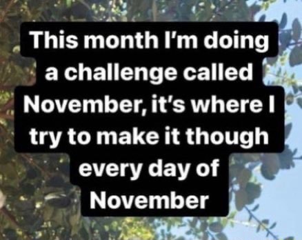 This month I'm doing a challenge called November, it's where try to ...