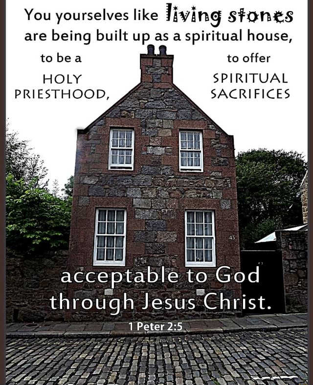 You yourselves like living stones are being built up as a spiritual ...