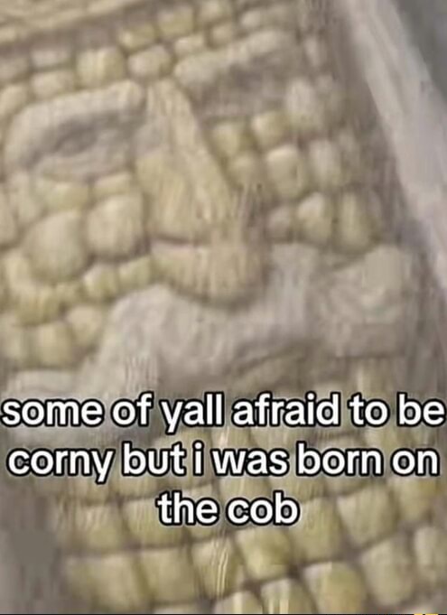 Some of yall afraid to be corny but i was born on the cob - iFunny