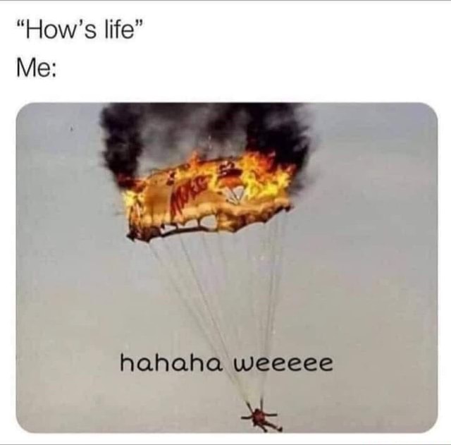 "How's life" Me: hahaha weeeee - America’s best pics and videos