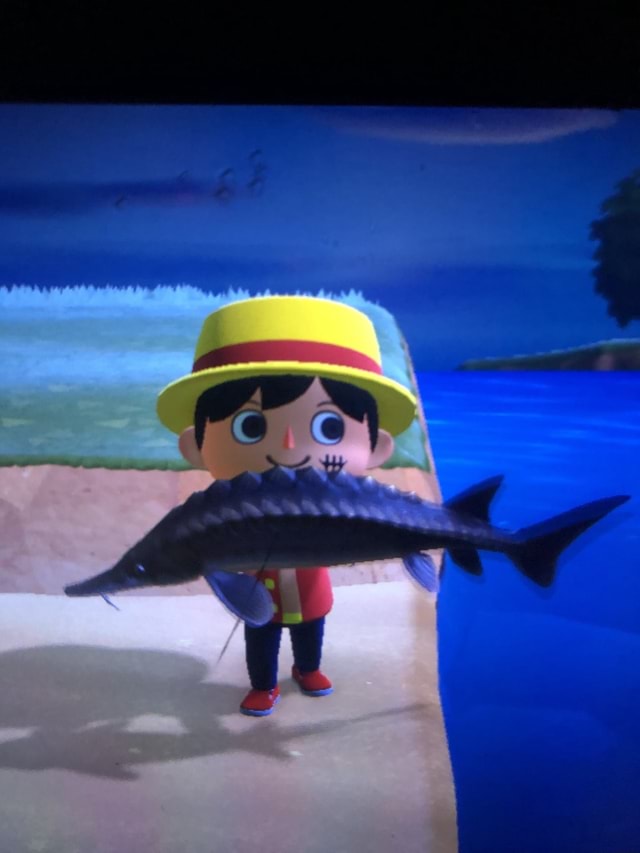 Luffy in animal crossing - iFunny