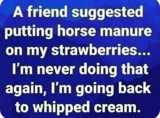 A friend suggested putting horse manure on my strawberries... I'm never ...