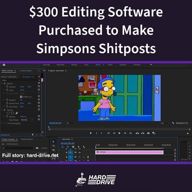 $300 Editing Software Purchased to Make Simpsons Shitposts Full story ...