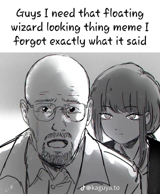 Guys I need that Floating wizard looking thing meme I forgot exactly ...