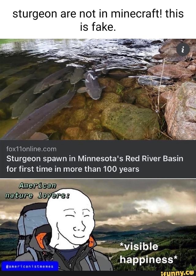 Sturgeon are not in minecraft! this is fake. Sturgeon spawn in ...