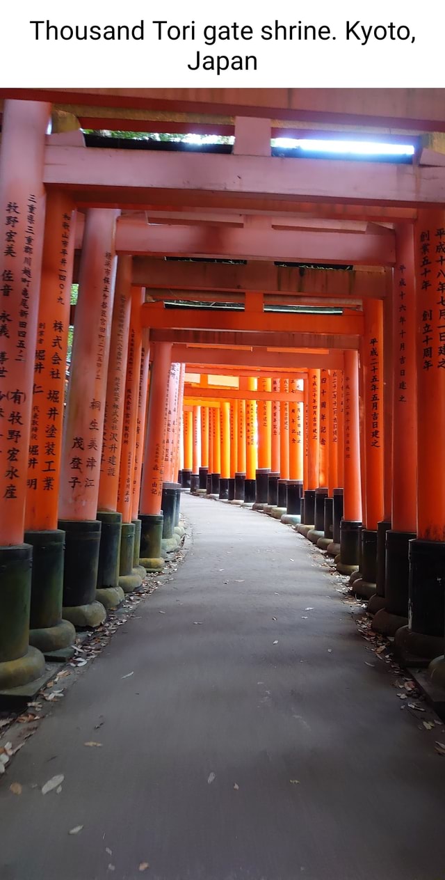 Thousand Tori gate shrine. Kyoto, Japan - iFunny